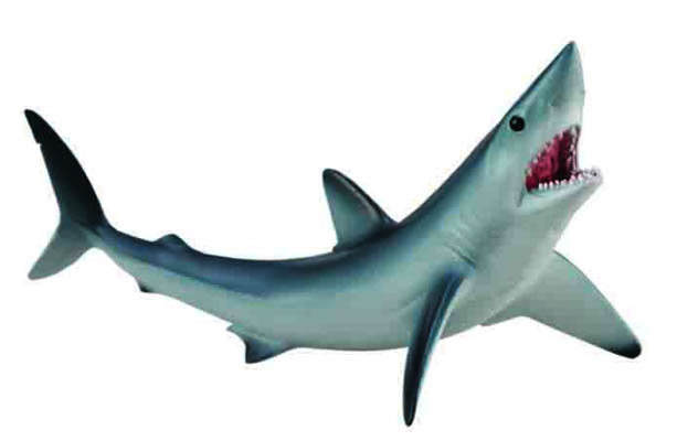 Shortfin Mako Shark